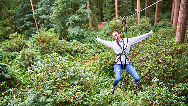Treetop Challenge at Go Ape for Two People | Red Letter Days