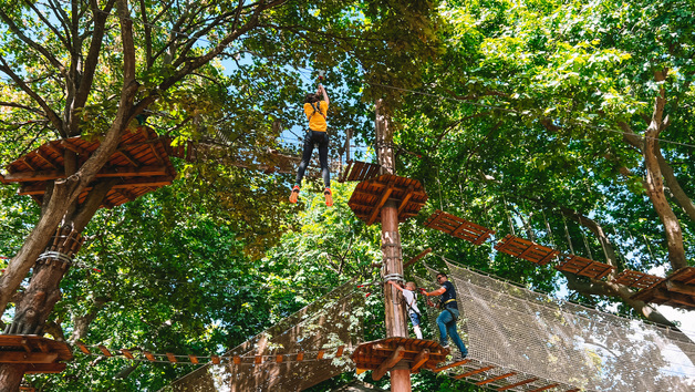 Treetop Challenge at Go Ape for Two People | Red Letter Days