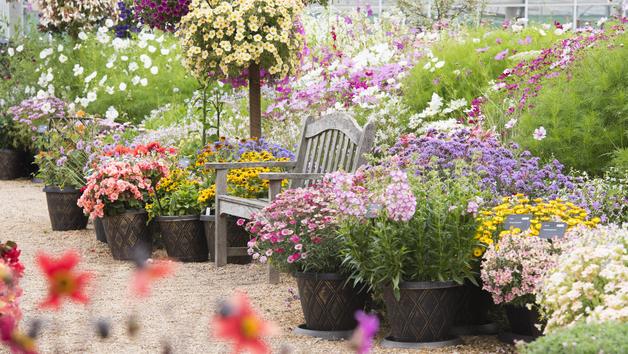 Unlimited Access to Five Gardens with RHS Individual Membership | Red ...