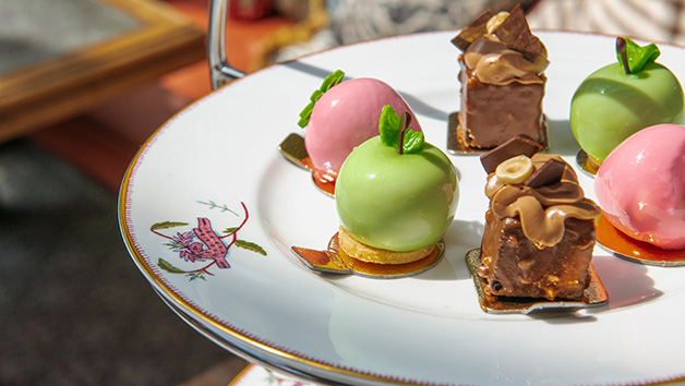 A Visit to Port Lympne Reserve, Truck Safari and Afternoon Tea for Two ...