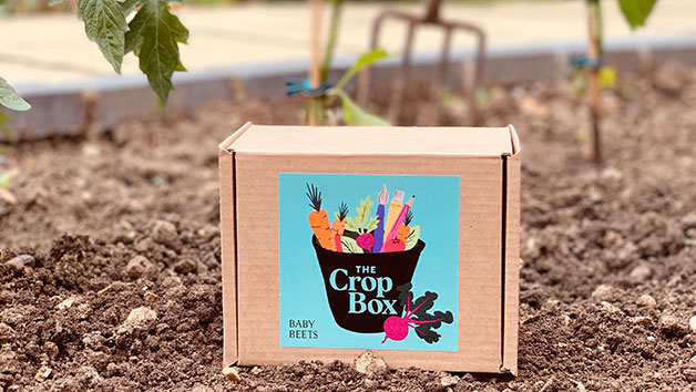 Drinks & Dining | Red Letter Days