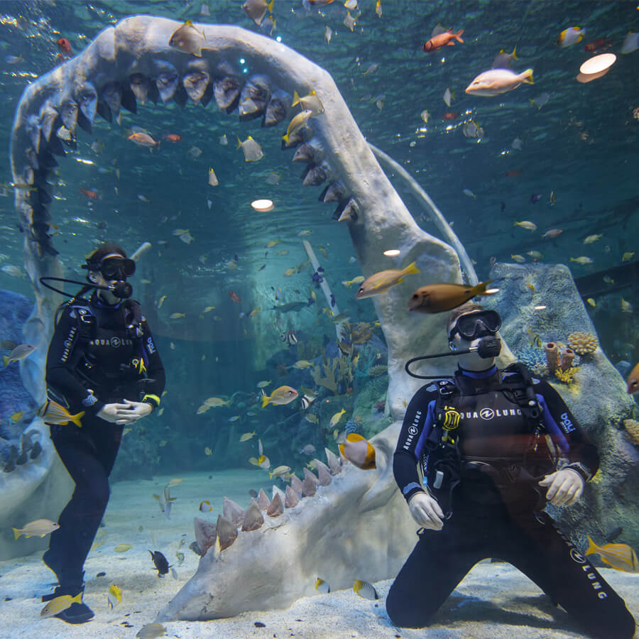 Red Letter Days | Experience Days & Gift Ideas